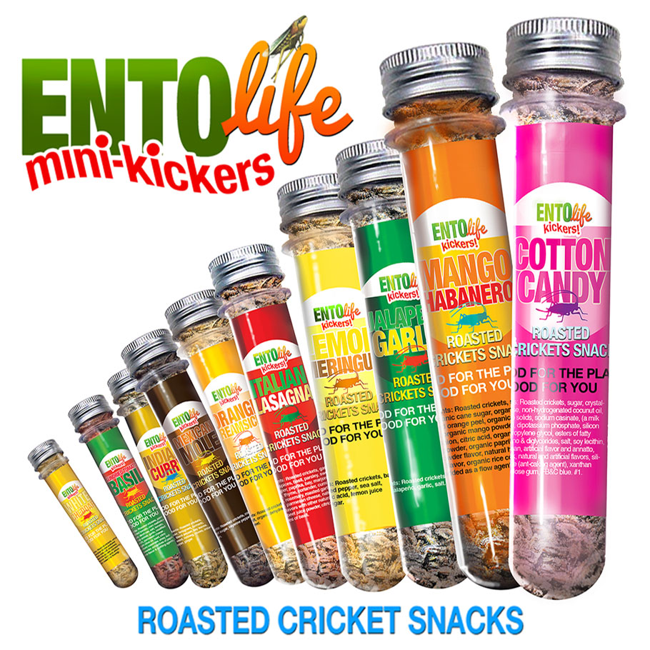 Mini-Kickers Flavored Whole Roasted Cricket Snack – You Can Eat Bugs