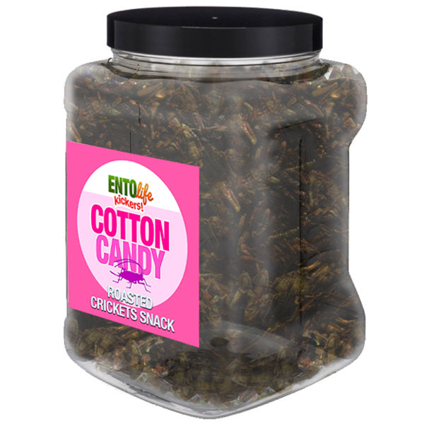 Cotton Candy Flavored Cricket Snack - Pound Size – You Can Eat Bugs
