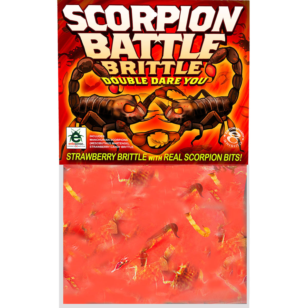 Scorpion Battle Brittle – You Can Eat Bugs